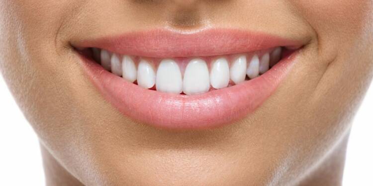 OVAL SHAPED TEETH - the shape for disciplined and organized people