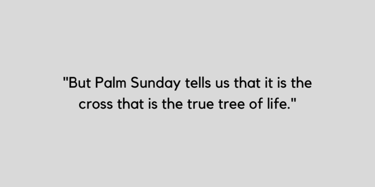 Collection of 37 Palm Sunday quotes and captions - TFIGlobal