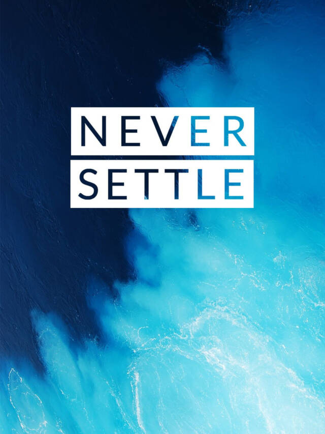 Most Inspiring 12 Never settle quotes and captions to work hard in life ...