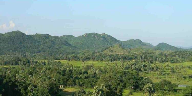 Rajmahal Hills- History, Location, Fossils, and FAQs about hill