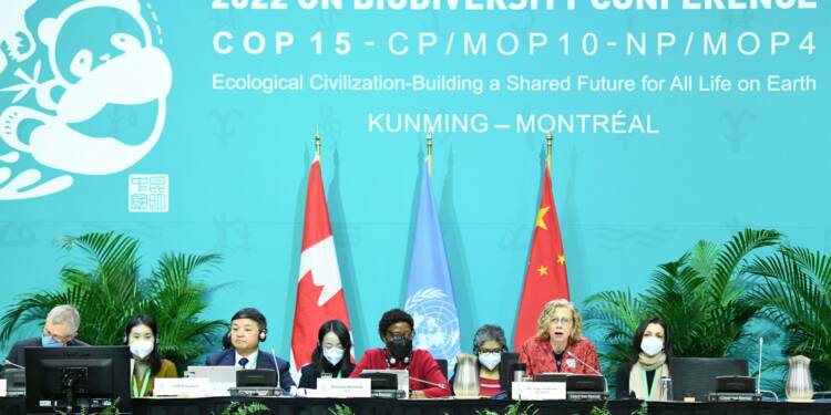 African nations heckle the West at COP 15 Biodiversity Conference