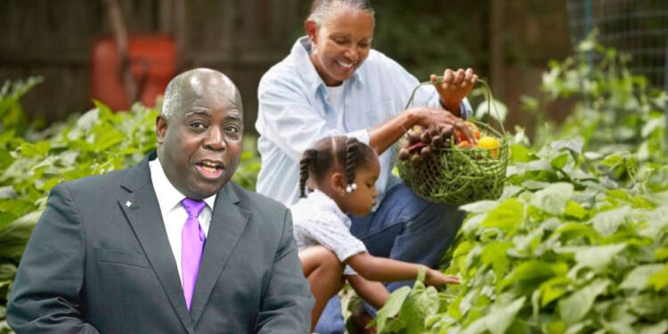 Food insecurity- a calamity in waiting for Bahamas - TFIGlobal