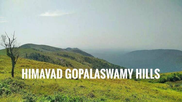 Himavad Gopalaswamy Temple, Timings, History, and Travel Guide