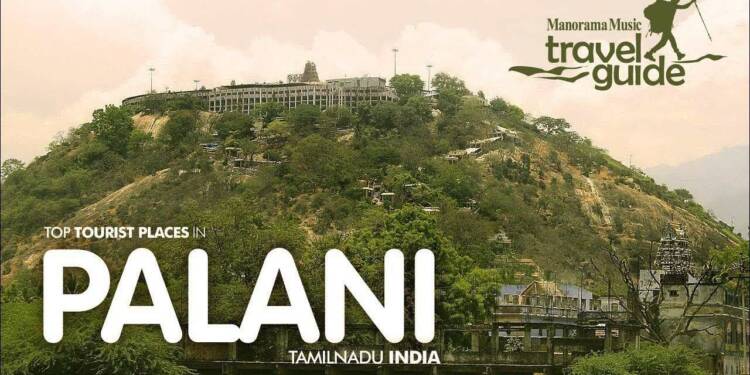 Palani Arulmigu Sri Dhandayuthapani temple timings, travel guide