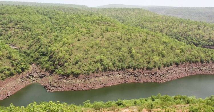 Nallamala Forest, History, Travel Guide and How to reach