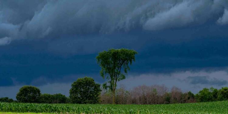 Why does India have a monsoon type of climate? - TFIGlobal