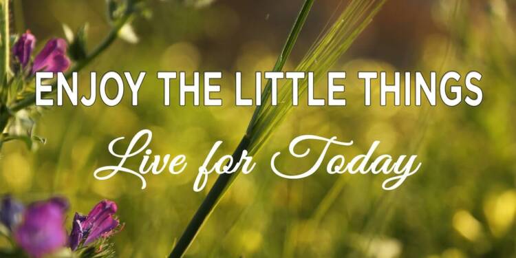 Enjoy The Little Things Quotes: Joy in Life's Simple Pleasures