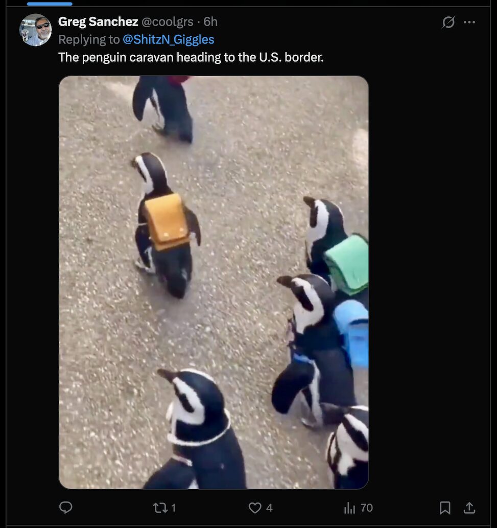 Social Media explode with memes after Trump's slap tariffs on Penguins